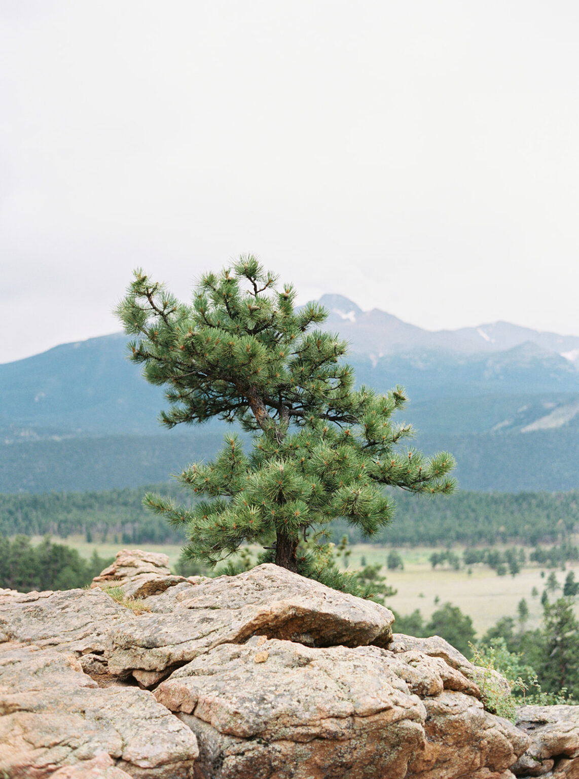 Steph & Ryan's Epic Adventure Engagement Shoot in Rocky Mountain ...